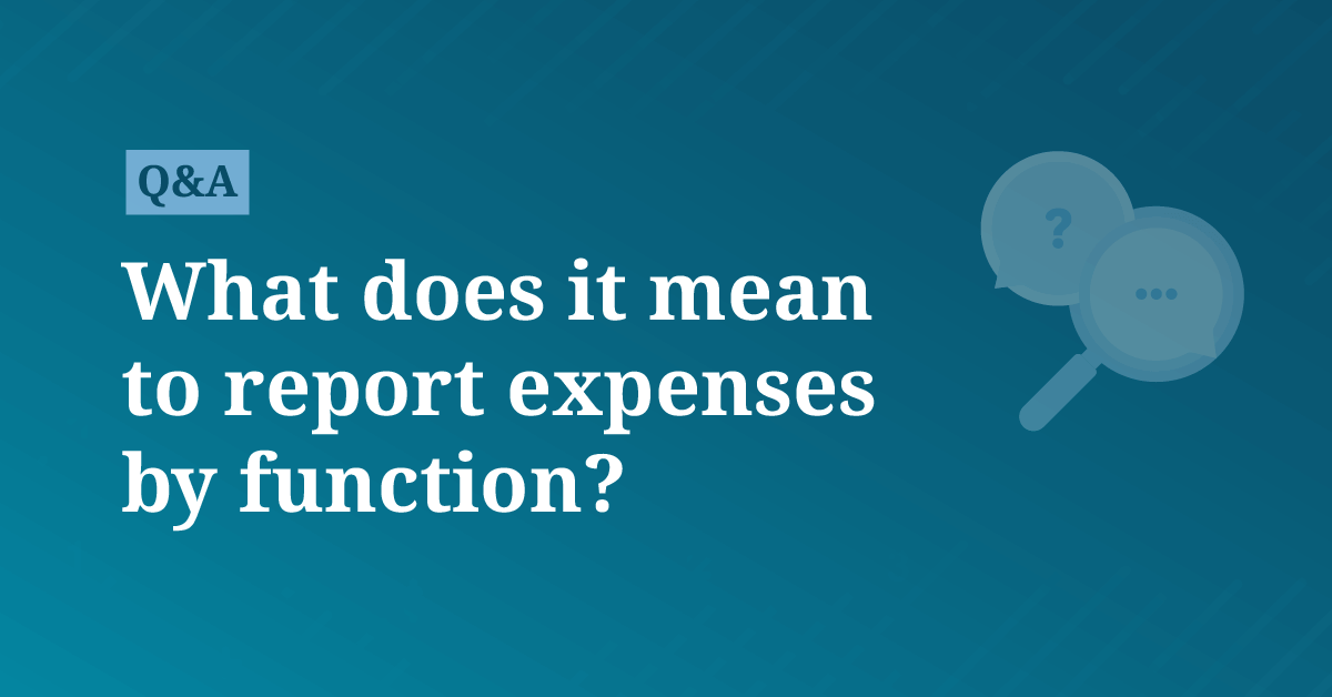 What does it mean to report expenses by function?