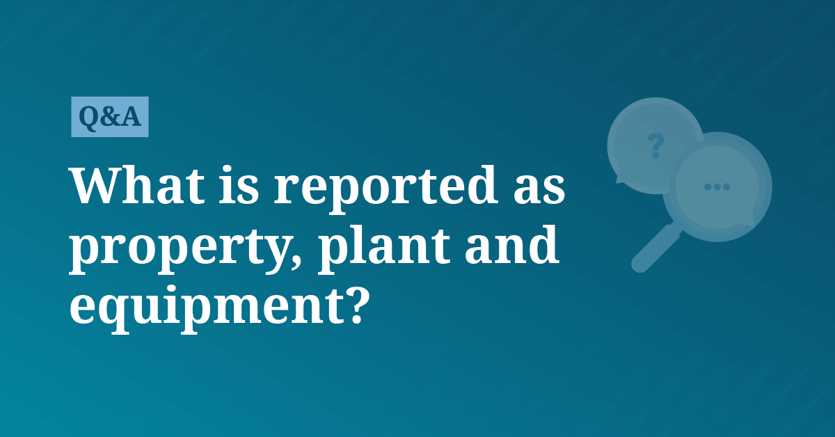 What is reported as property, plant and equipment?