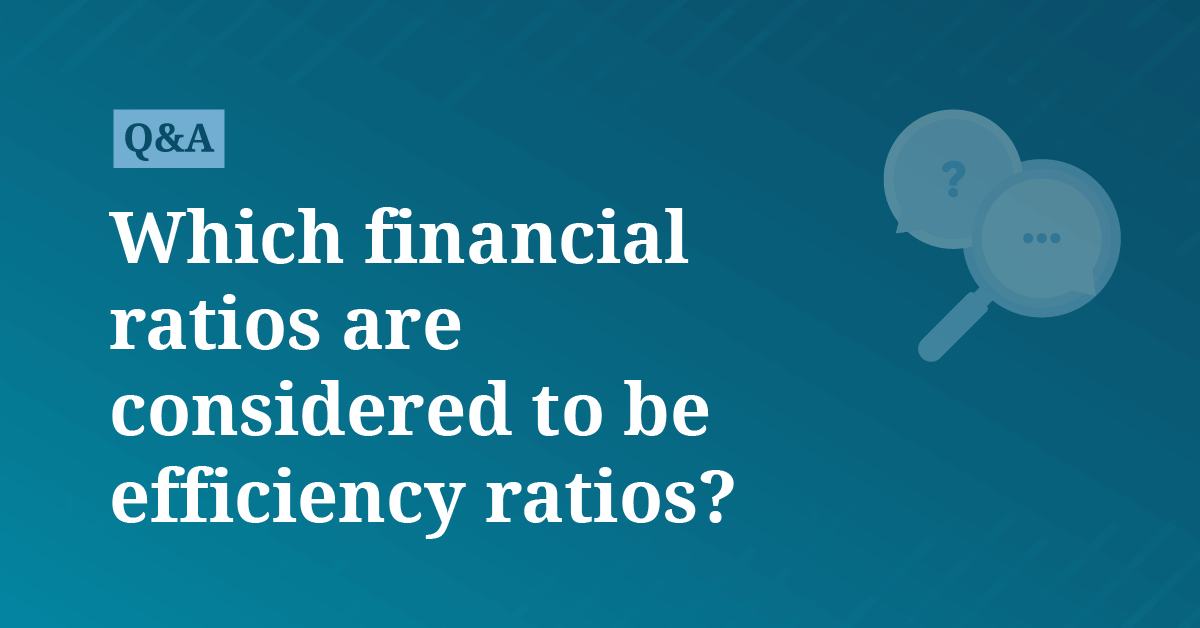Which financial ratios are considered to be efficiency ratios?