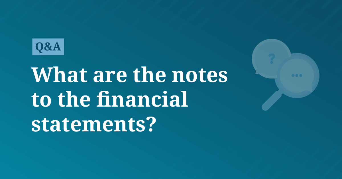 What are the notes to the financial statements?